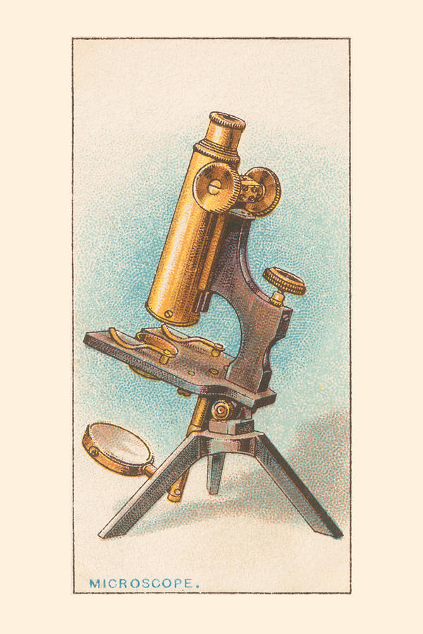 Microscope Painting by Unknown - Fine Art America