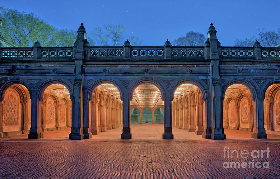 Mixed Light Source Photograph by Ryan Brook - Fine Art America