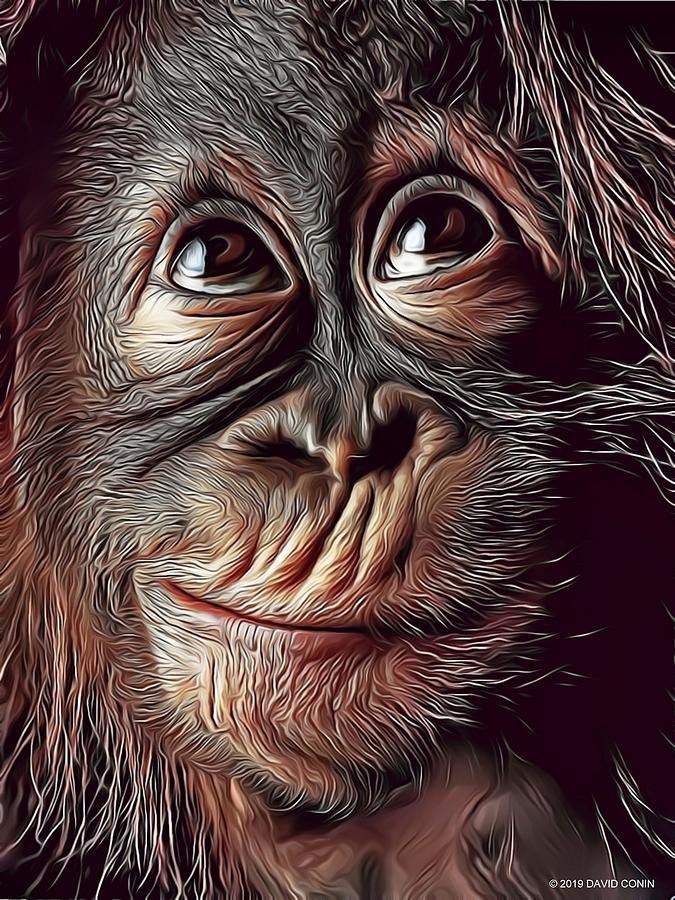 Monkey Digital Art by David Conin - Fine Art America