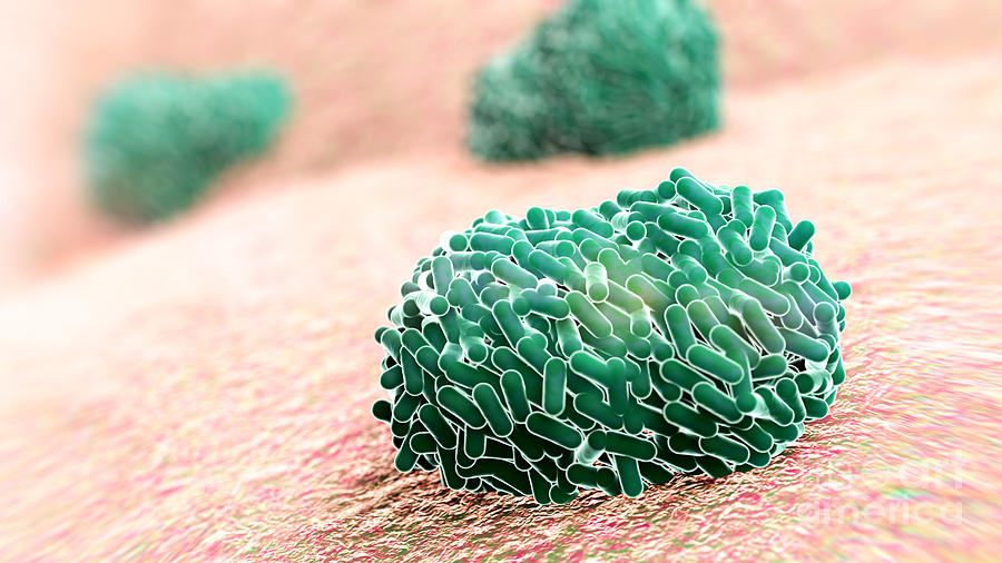 Monkeypox Virus Emerging From Cell Photograph by Thom Leach / Science ...