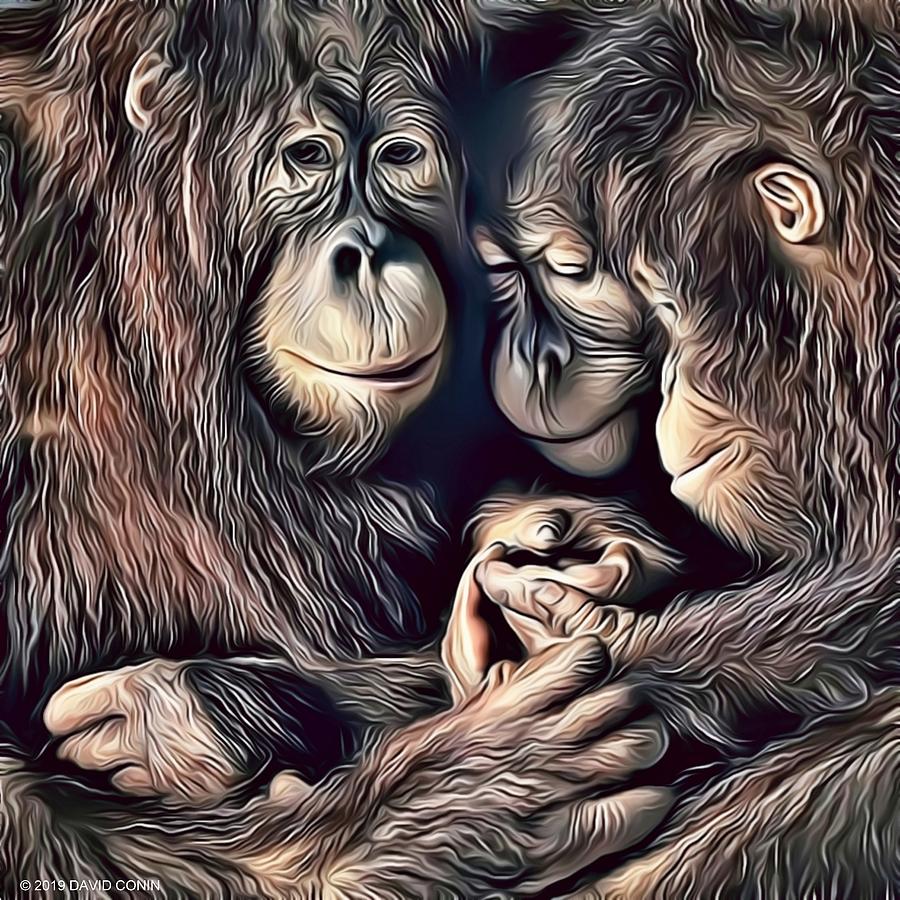 Monkeys Digital Art by David Conin - Fine Art America