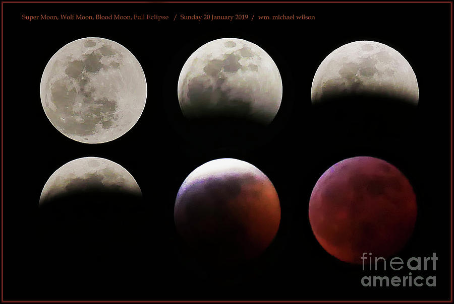 MOON Eclipse 2019 Photograph by Michael Wilson