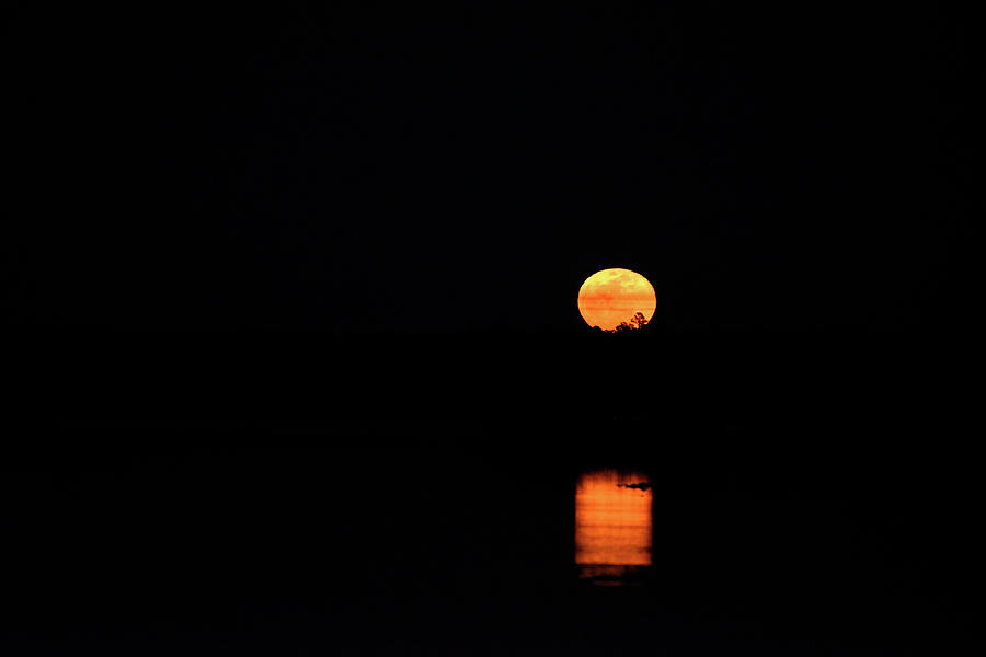 Moon Rise Photograph by Perspective Gallery - Fine Art America