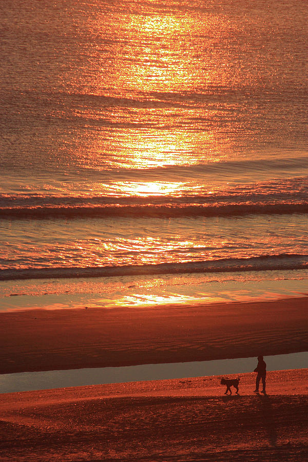 Morning Stroll Photograph by Brian Hockman - Fine Art America
