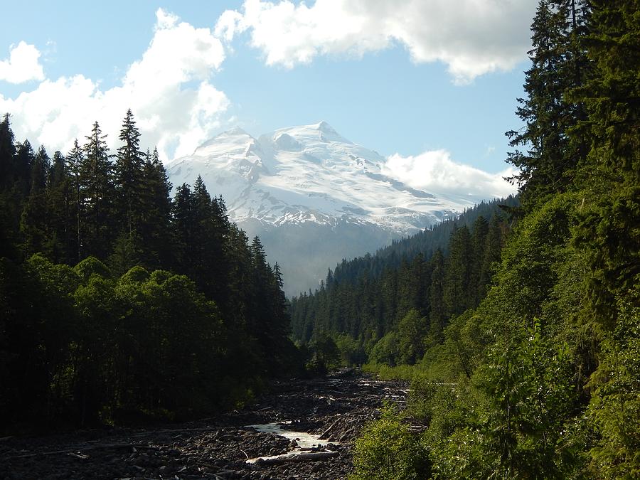 Mount Rainer with trailing river Photograph by Nicholas Rinehart - Fine ...