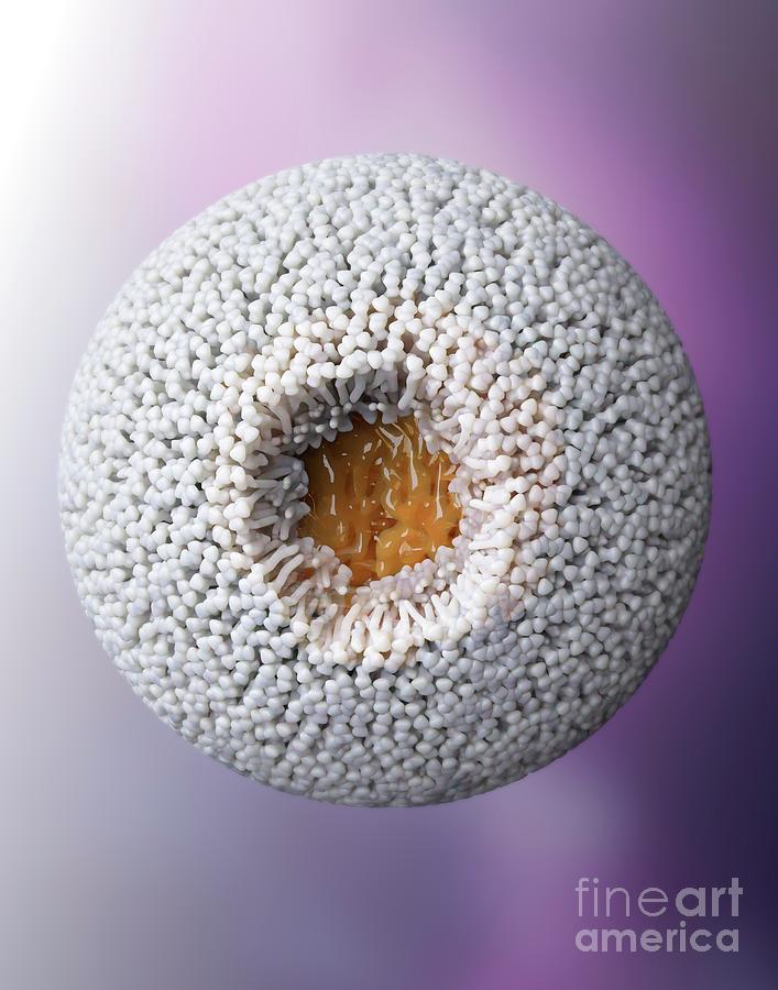 Mrna In Lipid Nanoparticles Photograph by Ramon Andrade 3dciencia/science Photo Library - Fine ...