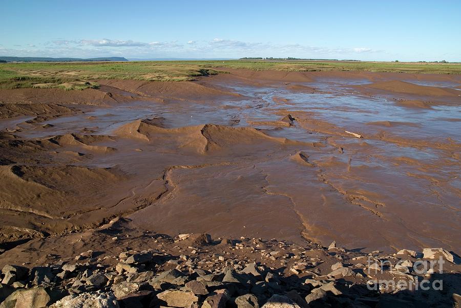 Mud Flats Photograph By Steve Horrellscience Photo Library Fine Art America