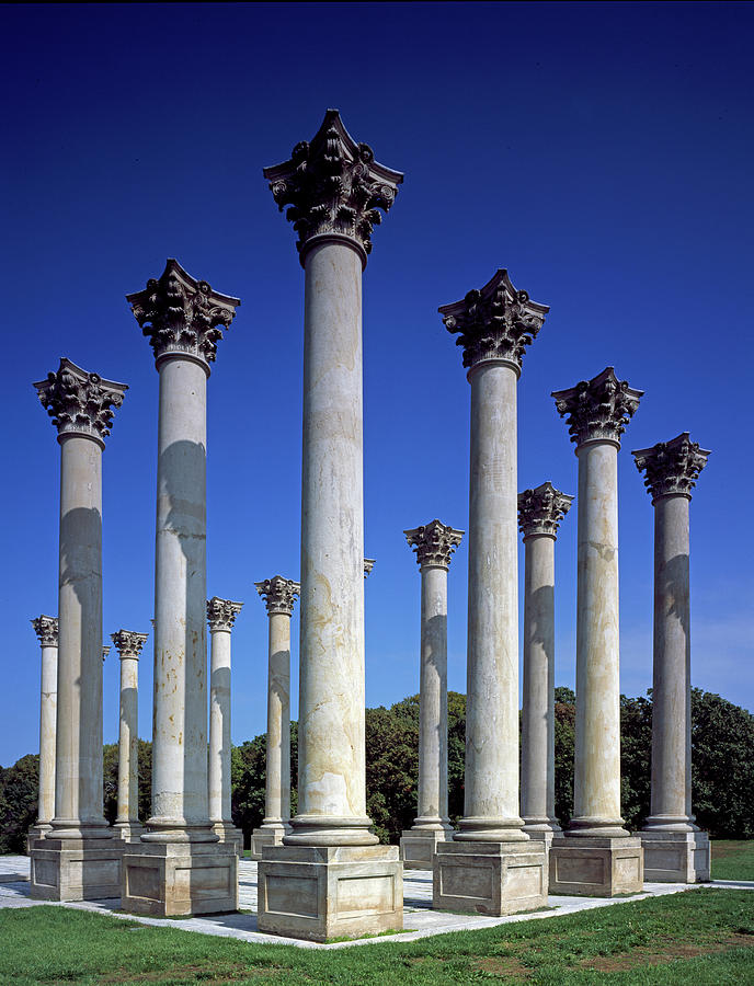 National Capitol columns - United States National Arboretum Painting by ...
