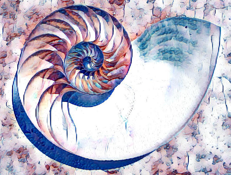 Nautilus Eye Painting by Kimberly Liichow | Fine Art America