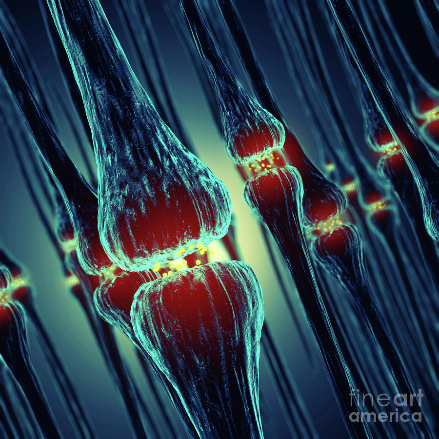 Nerve Synapses by Science Photo Library