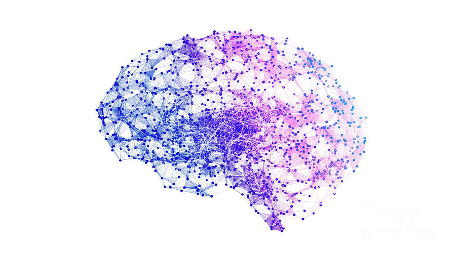 Neural Network by Science Photo Library