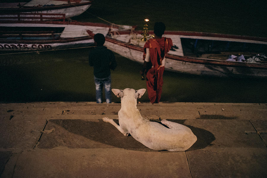 Nightly Ritual Photograph by Rob Krauss - Fine Art America