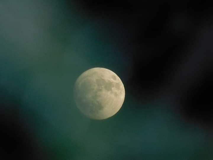 November Moon Photograph by Kathleen Moore Lutz - Fine Art America