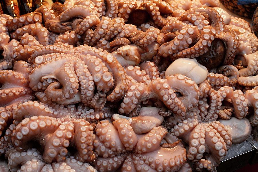 Octopus At A Market Photograph by Paul Poplis - Fine Art America