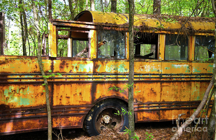 Old Scrap School Bus Photograph by Mark Winfrey - Fine Art America