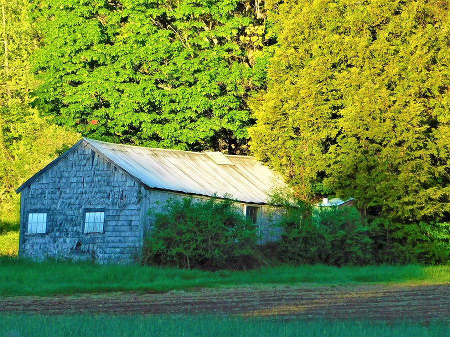 - Old Shack - Spring Photograph by THERESA Nye - Fine Art America