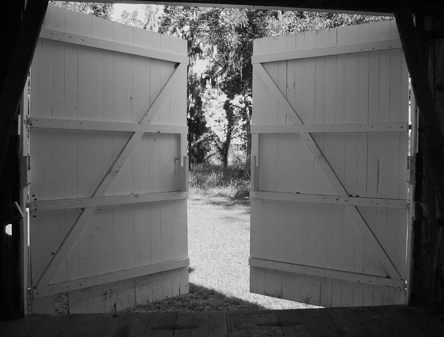 Open Photograph by John Ring - Fine Art America