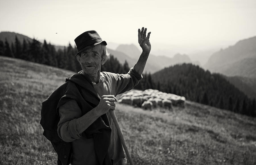 Pastoral Story With Two Bees Photograph by Julien Oncete | Pixels Pastoral Story With Two Bees Photograph by Julien Oncete | Pixels