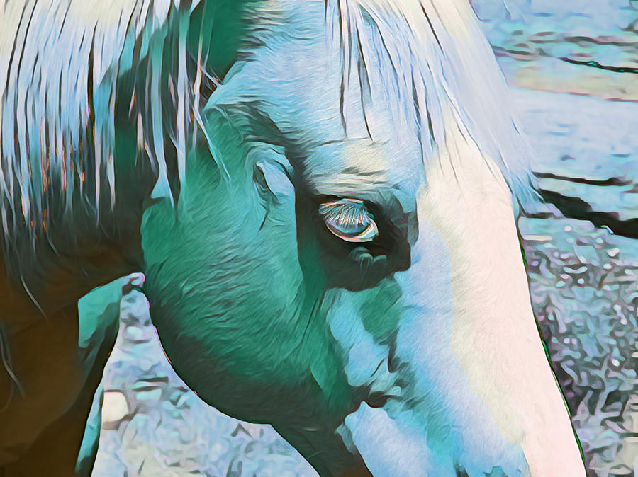 Patch Digital Art by Rob Olson | Fine Art America