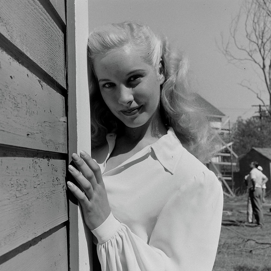 Penny Edwards Digital Art by Peter Stackpole - Fine Art America