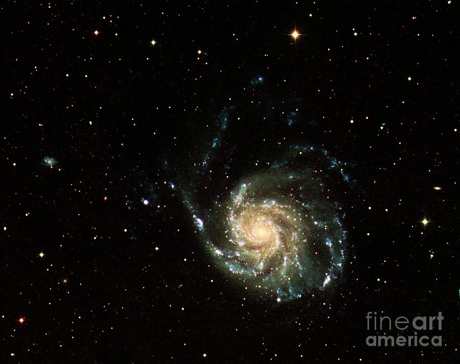 Pinwheel Galaxy Photograph by Nasa/jpl/caltech/science Photo Library ...