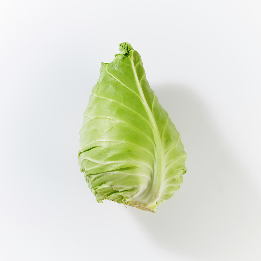 Pointed Cabbage Photograph by Peter Rees - Fine Art America