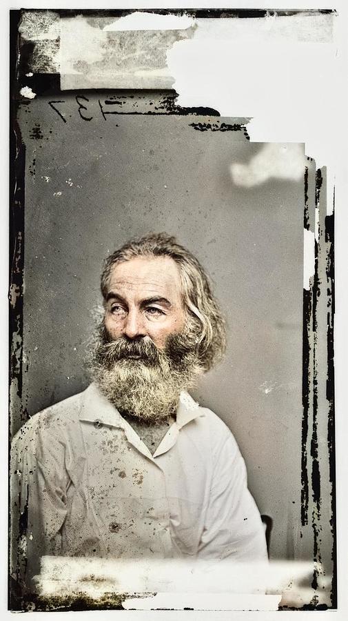 Portrait of American Poet Walt Whitman, 1819-1892 Painting by Celestial ...