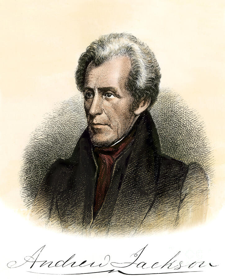 Portrait Of Andrew Jackson (1767-1845) President Of The United States ...