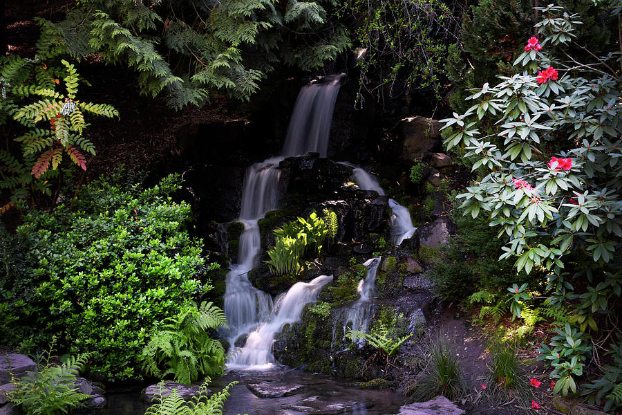 Pristine Waterfall Pyrography by David Griffith - Fine Art America