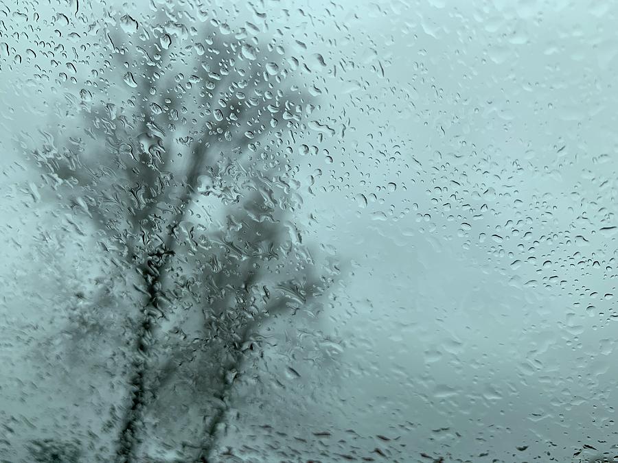 Rained Out Photograph by Dani Keating | Fine Art America