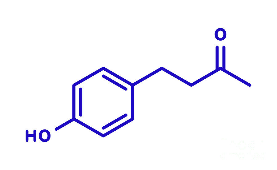 Raspberry Ketone Molecule by Science Photo Library