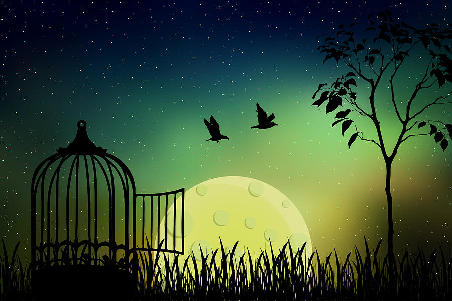 Released To Moonlight Digital Art by PsychoShadow ART - Fine Art America