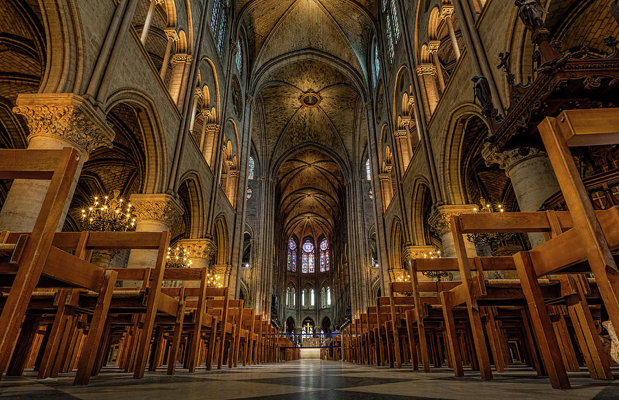 Remembering Notre-Dame Photograph by Brian Behling - Fine Art America