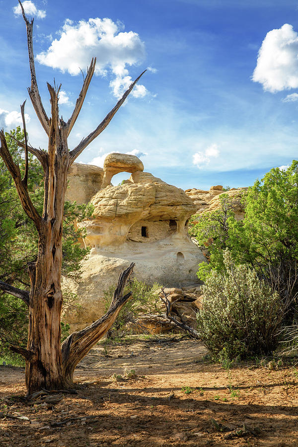 Remote ancient granary Photograph by Alex Mironyuk