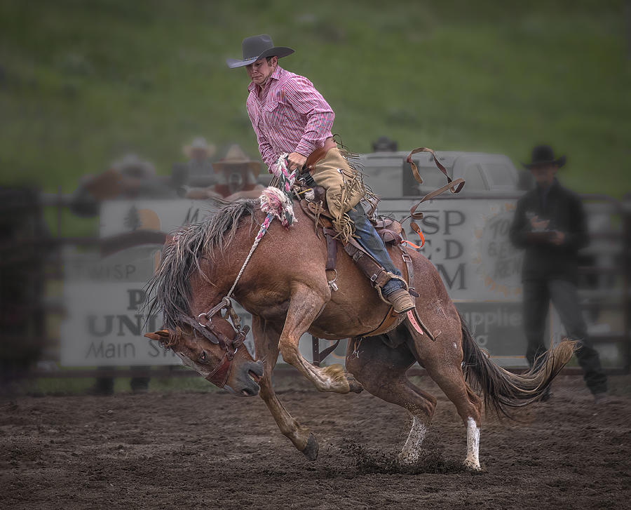 Rodeo Rider Photograph by Sherry Ma - Fine Art America