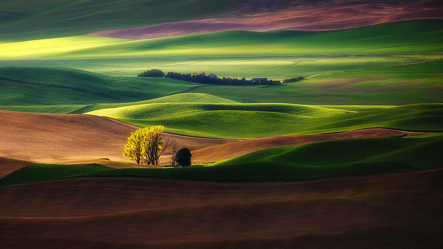 Rolling Wheat Fields Photograph by James Lu - Fine Art America