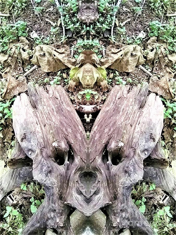 Rooty Photograph by Lisa Simonson - Fine Art America