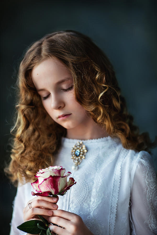 Rose Photograph by Alina Lankina - Pixels