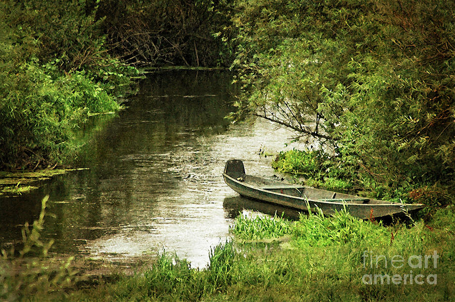 Rowboat Watercolor Photograph By Michael Ziegler Fine Art America