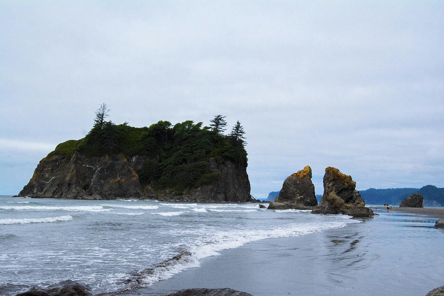 Ruby Beach Photograph by Brian Goodbar - Pixels