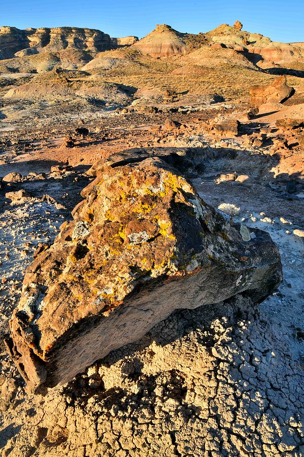 Ruby Mountain 98 Photograph by Ray Mathis - Fine Art America