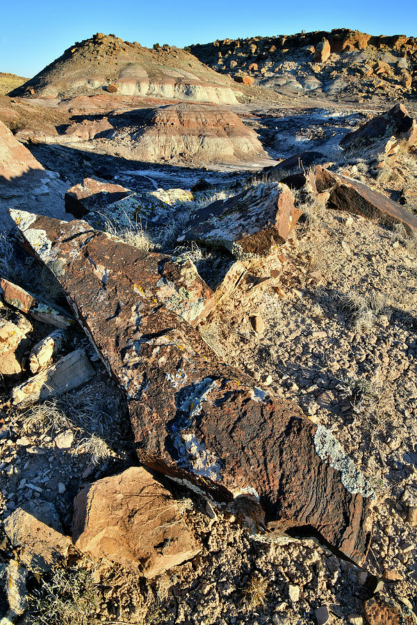 Ruby Mountain Bentonite Dunes Photograph by Ray Mathis - Fine Art America