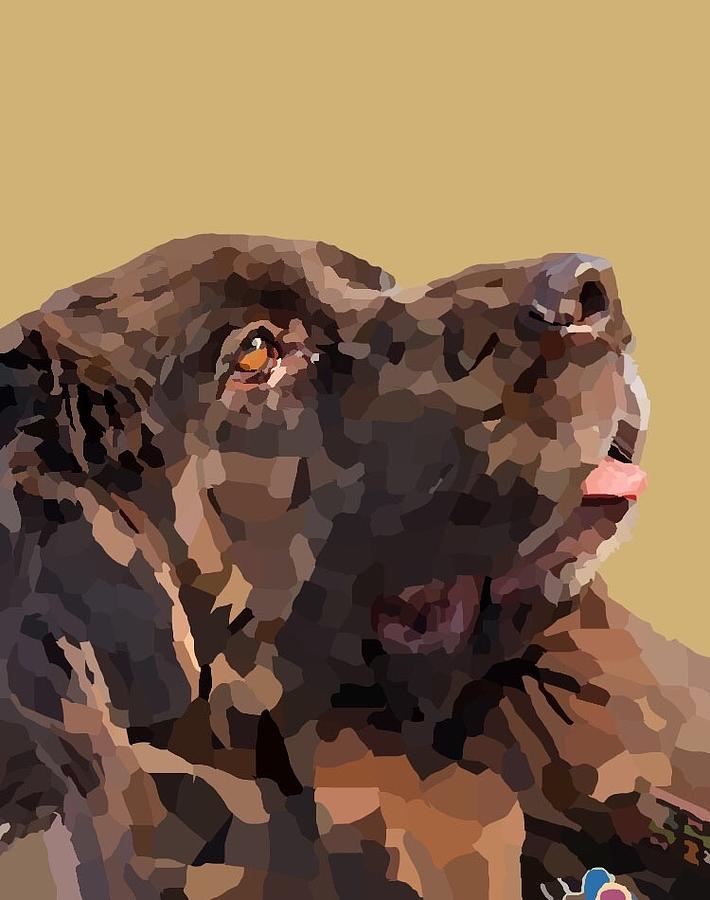 Ruby Roo Digital Art by Annabelle Moorefield - Pixels Merch