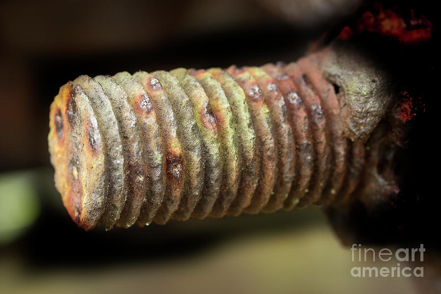 Rusty Bolt Photograph by Mike Eingle - Fine Art America