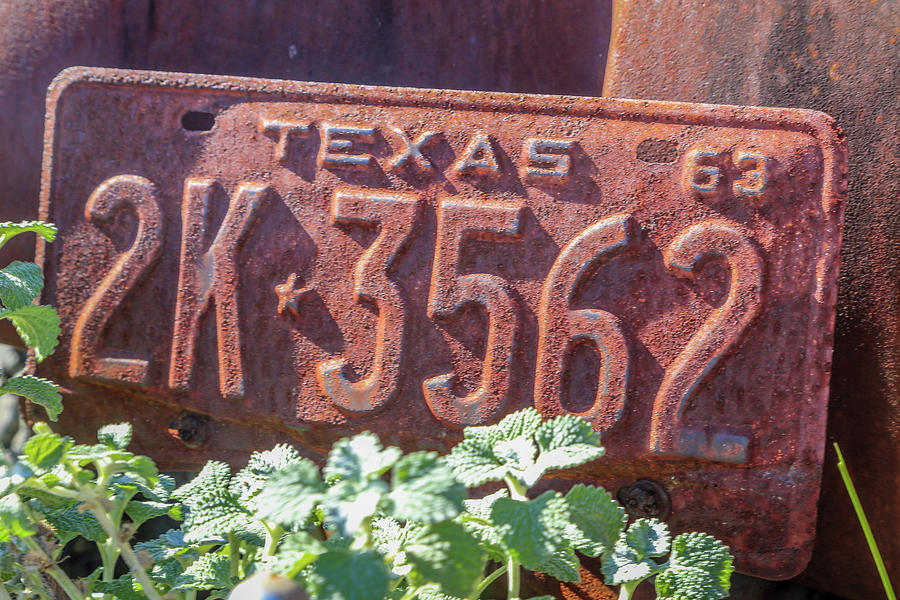 Rusty Elegance Photograph by Michael Wayne Barnett - Fine Art America