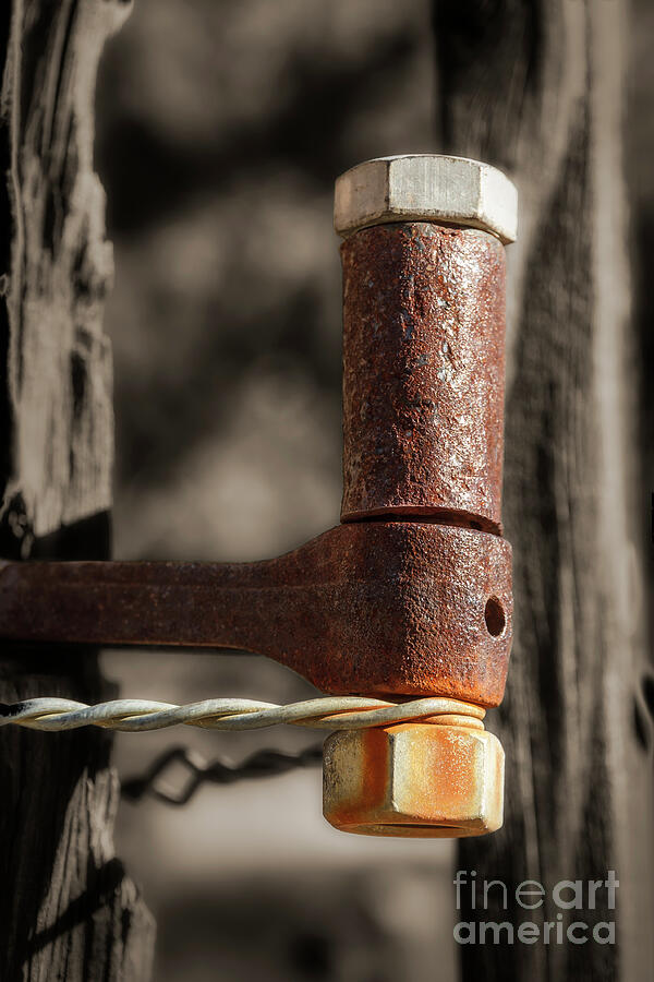 Rusty Hinge Photograph by Mark Chinn - Fine Art America