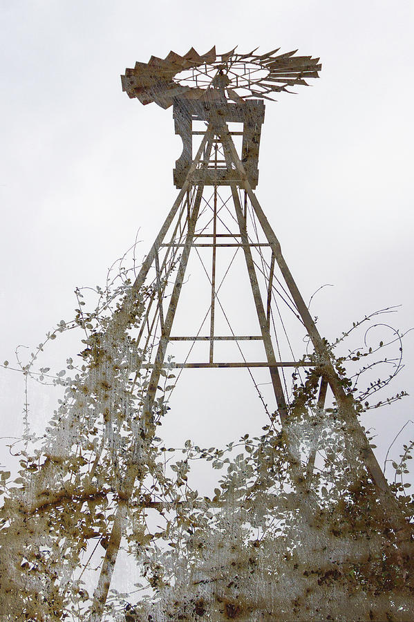 Rusty Windmill Photograph by Amy Sorvillo - Fine Art America