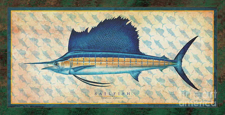 Sailfish Side ID Painting by Jon Wright - Fine Art America