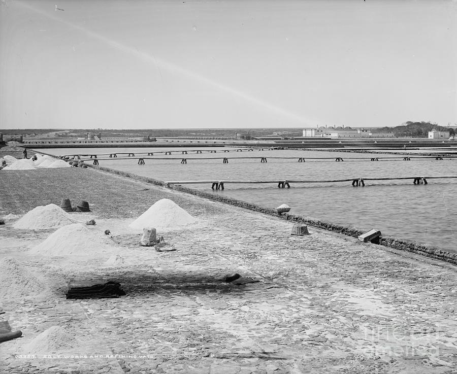 Salt Works And Refining Vats, Mexico, C.1880-97 (b/w Photo) Photograph ...