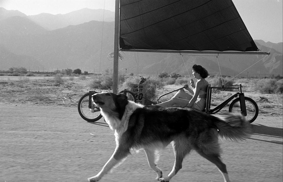 Sand Sailing Digital Art by Peter Stackpole - Fine Art America